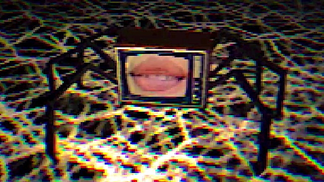 SKINCRAWLERS – Download Game | Free Game Planet