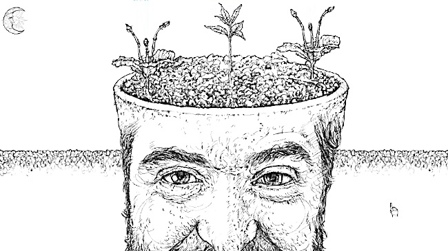 Pothead – Download Game | Free Game Planet