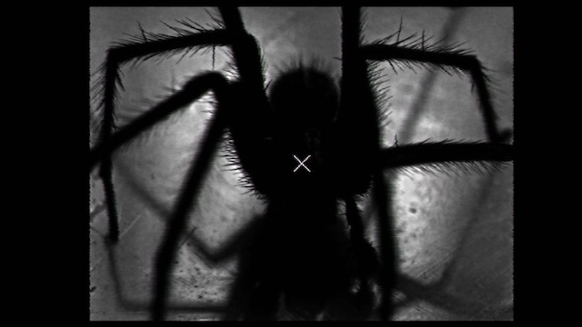 Aephemera – Downloadable Game | Free Game Planet