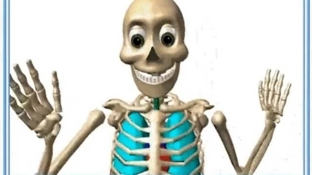 My Amazing Human Body w/ Seemore Skinless – Downloadable Game | Free ...